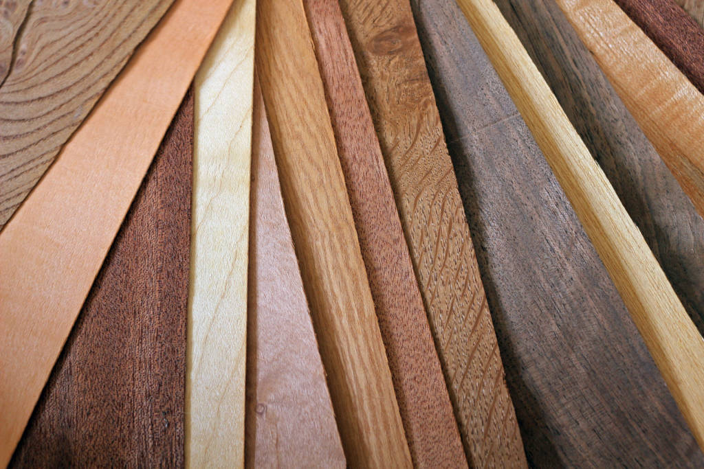 GLOBAL WOOD - Široká nabídka českého i exotického dřeva
